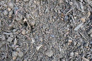 Capital Mulch Company | Our Products